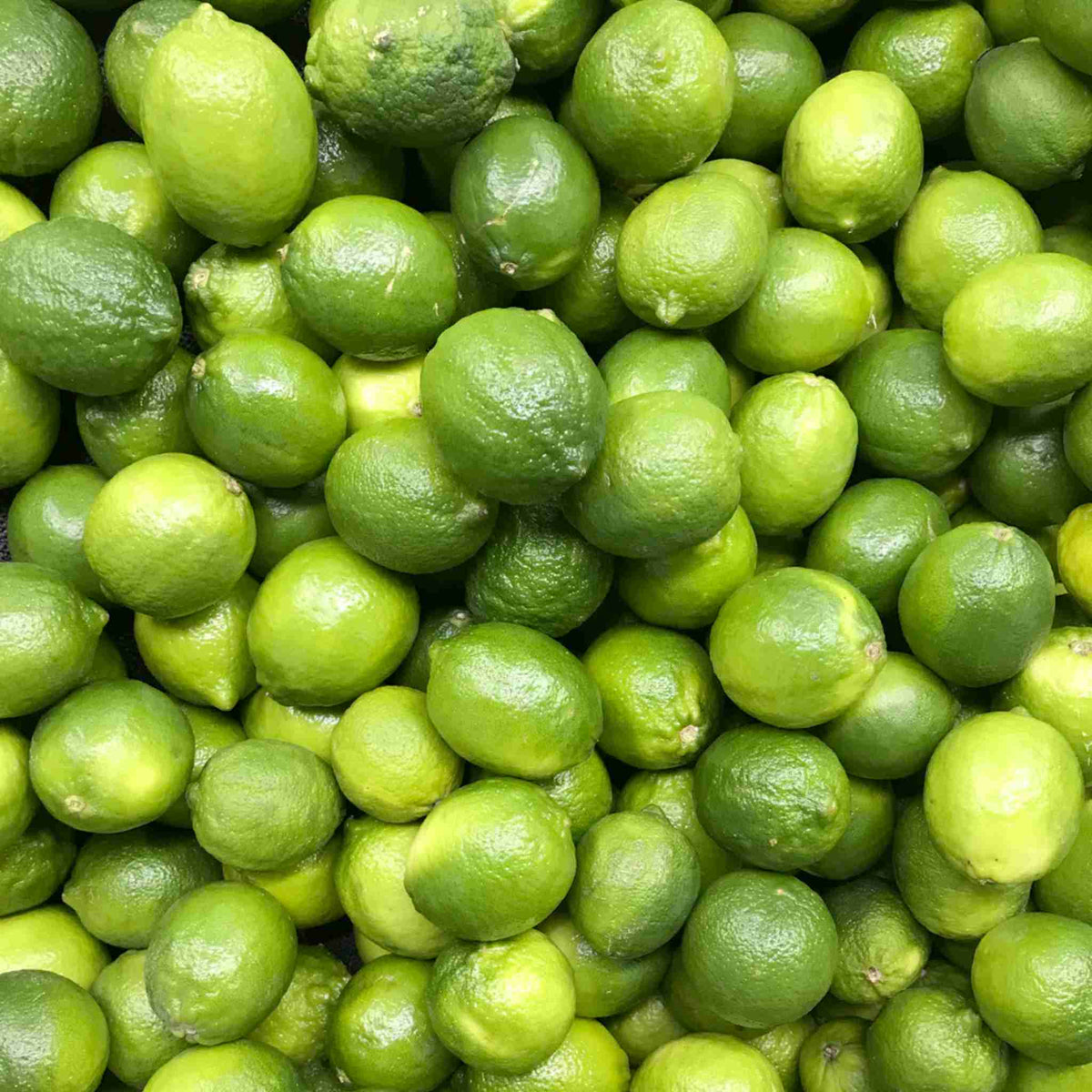 Lime - each – Groombridge Farm Shop